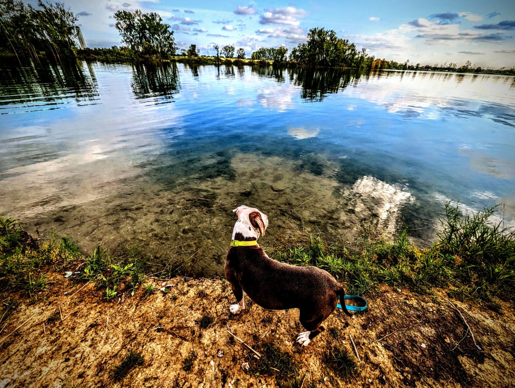 Resources We Love – Detroit Peer Respite